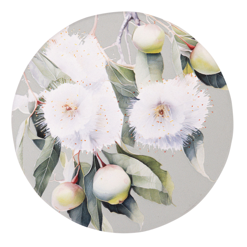 Splosh - Native Blooms Gumnuts Ceramic Coaster – Abby Rose Collective