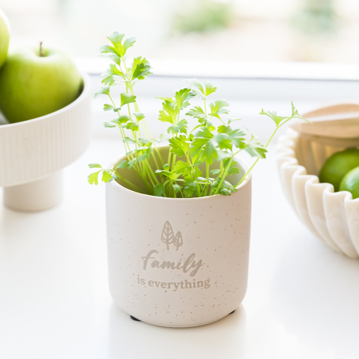 Splosh | Positive Pot Family – Abby Rose Collective